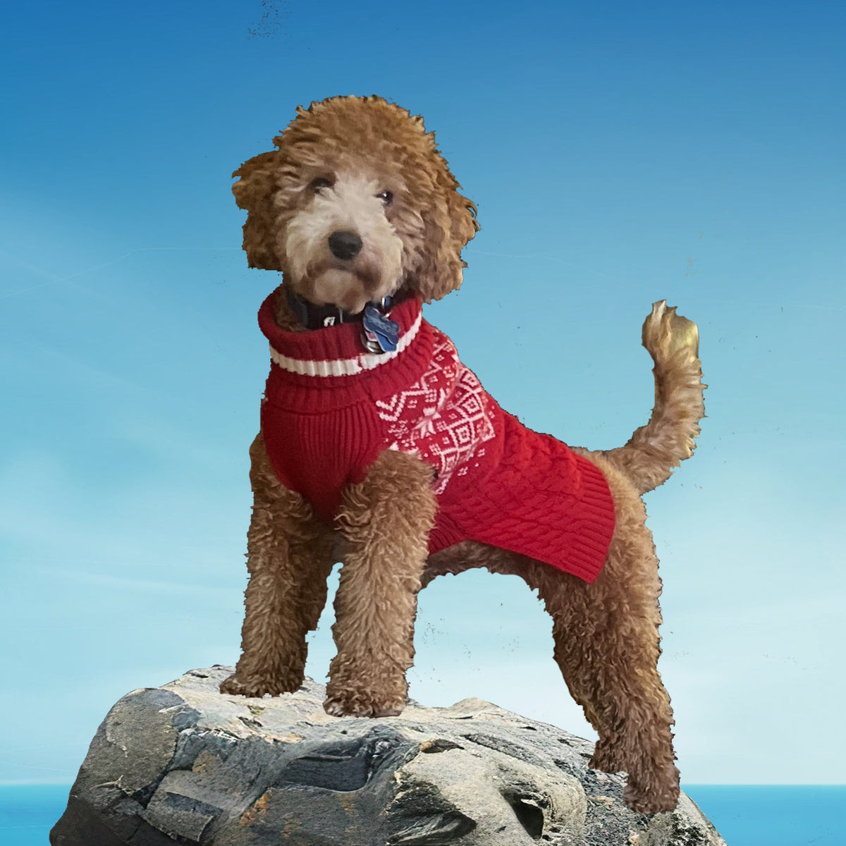 Briggs Dog, Our Mascot's Favorite Things – Traveling Bags